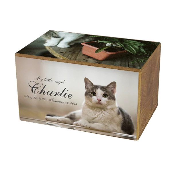 Serene Collection Urn Online : Mittens & Max