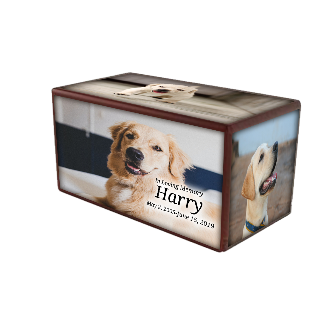 Timeless Collection Urn Online : Mittens & Max